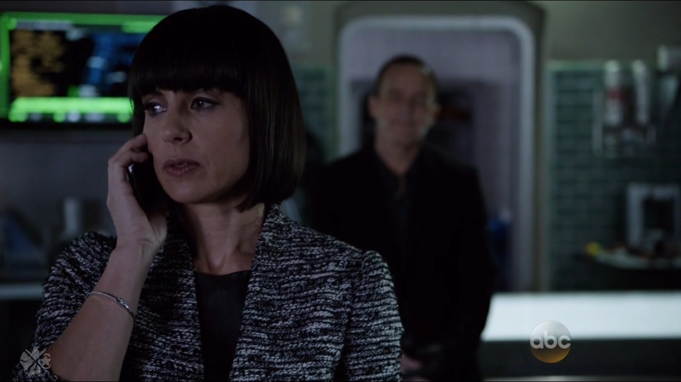Agents of SHIELD: 3ª Temporada – Parte 1 | Bloggallerya